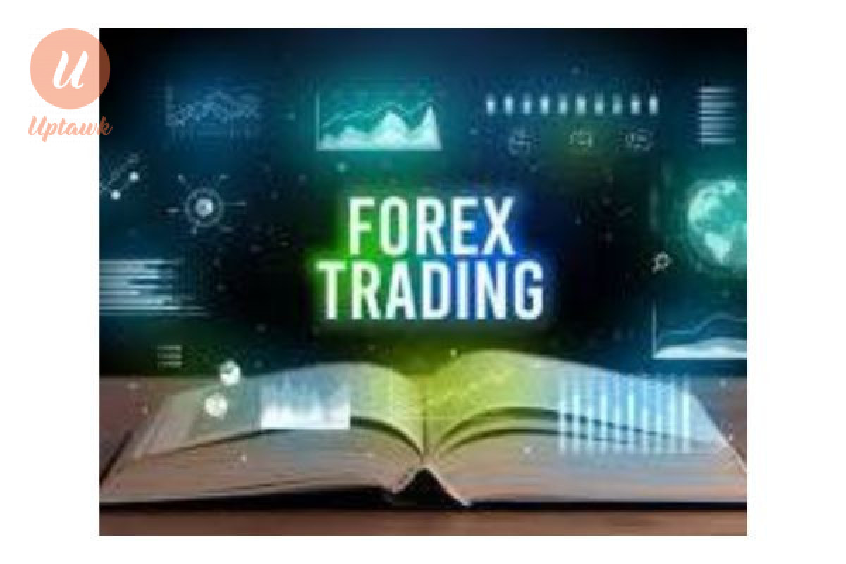 Freedom pips Fx | Why Forex Trading?